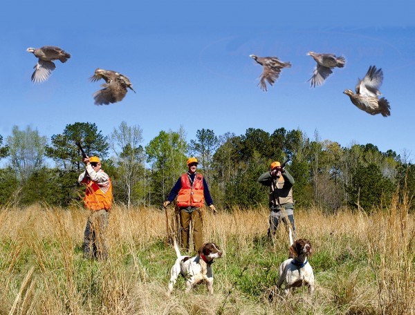 Successful Hunting Season – Key to Success
