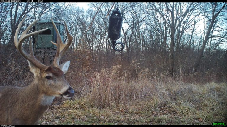How to Make a Deer Scrape - Hunting Note