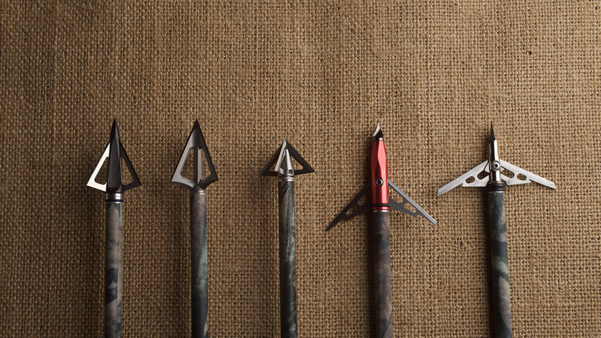What Is the Only Arrowhead Used For Big Game? - Hunting Note